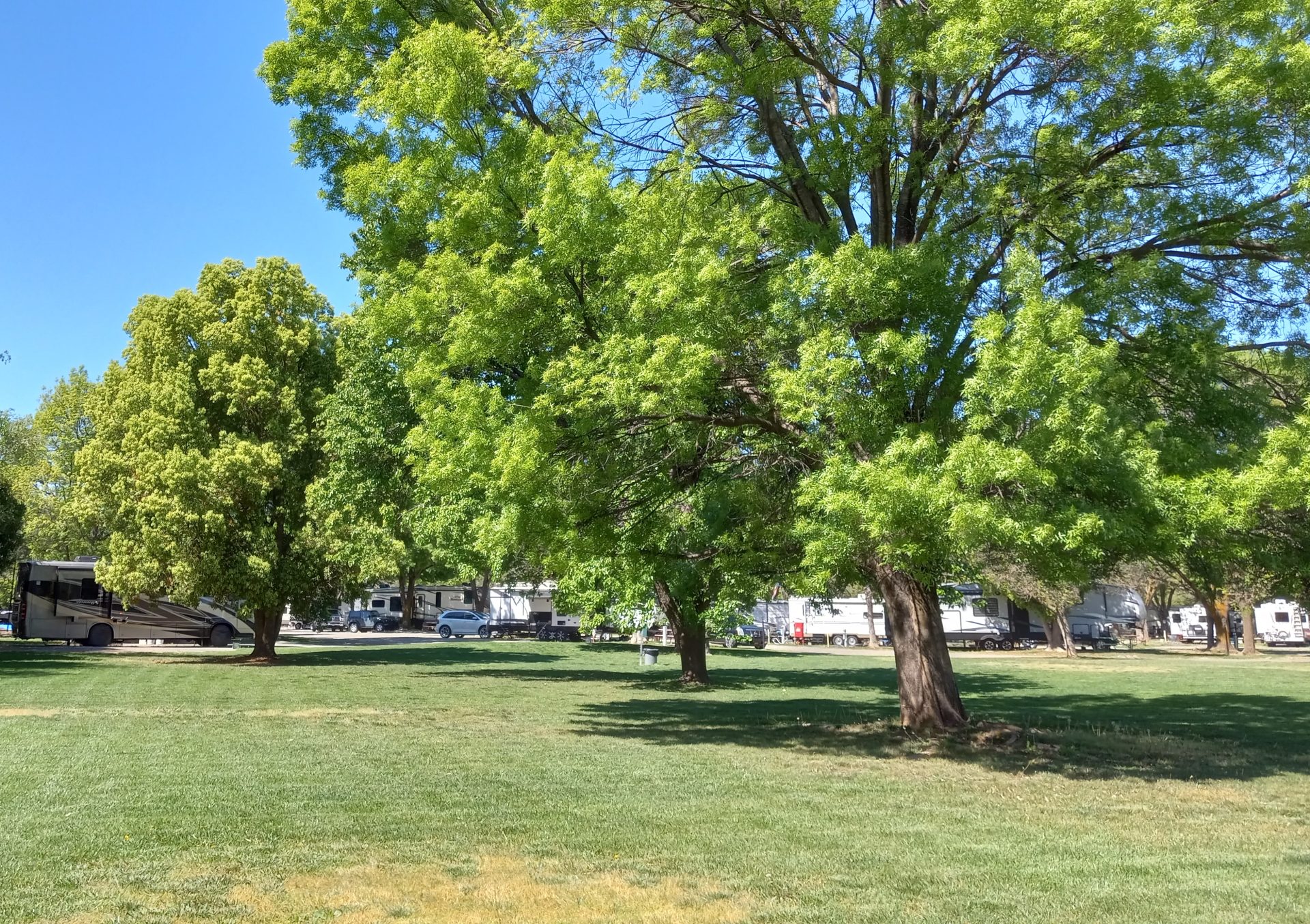 Photo Gallery Of Red Bluff RV Park & Campground In NorCal